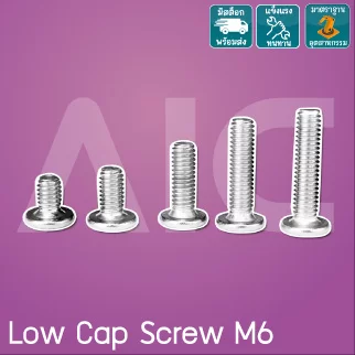 Low Cap Screw สแตนเลส M6 ความยาว 8-30มม